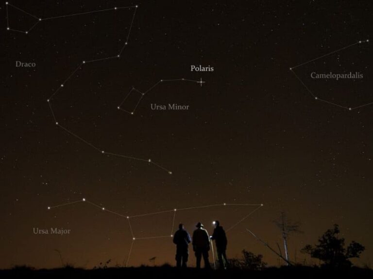 The Beginner's Guide to Navigating by the Stars - My Open Country