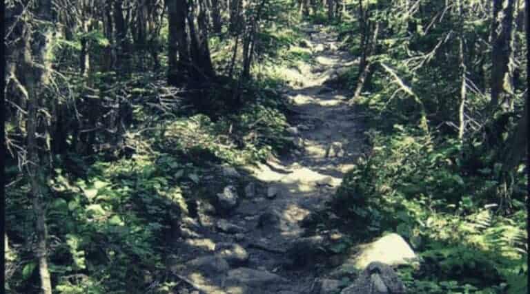 Pemi Loop, New Hampshire – Backpacking Trail Guide - My Open Country