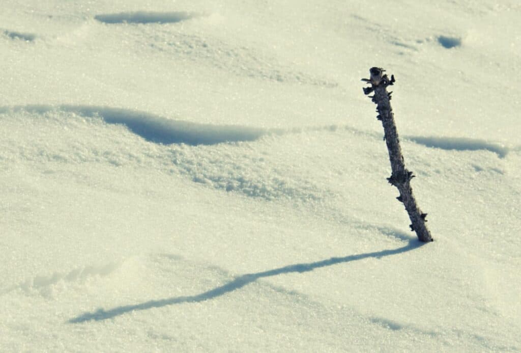 How to Navigate Without a Compass - 7 Methods to Find Your Way - My ...