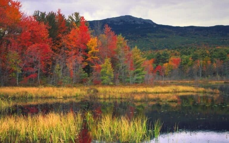 Best Hikes In Massachusetts: 17 Top Trails in the Bay State - My Open ...