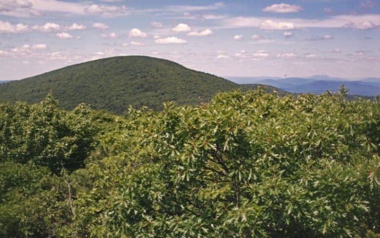 Best Hikes In Massachusetts: 17 Top Trails in the Bay State - My Open ...