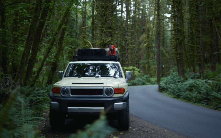 Dispersed Camping 101: Free Camping On Public Land - My Open Country