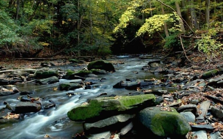 Best Hikes in Cuyahoga Valley National Park - My Open Country
