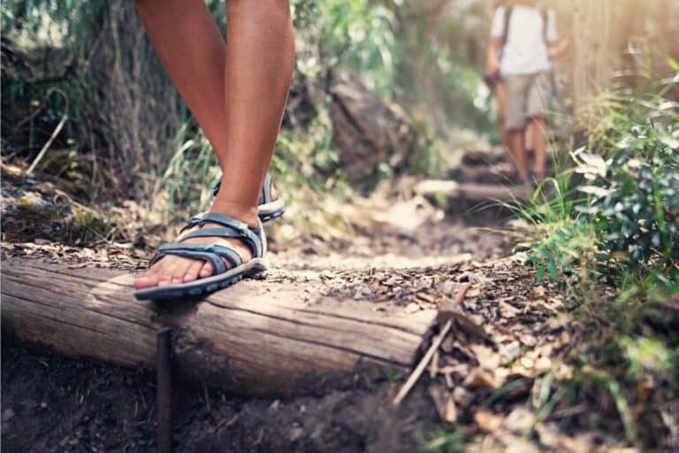 Best Hiking Sandals: Field-Trialed & Tested [2026 Update]