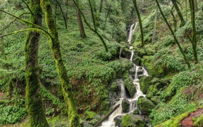 Best Hiking Trails in the Bay Area: 15 Stunning Hikes - My Open Country