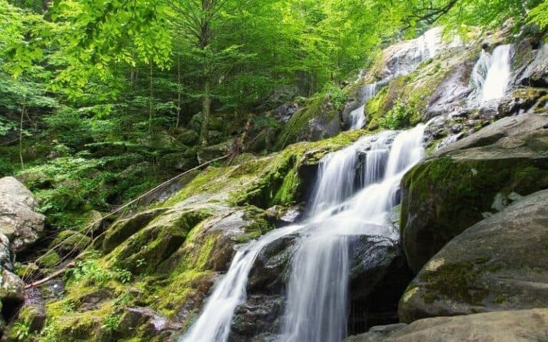 13 Best Hikes Near DC - My Open Country