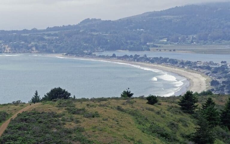Best Hiking Trails in the Bay Area: 15 Stunning Hikes - My Open Country