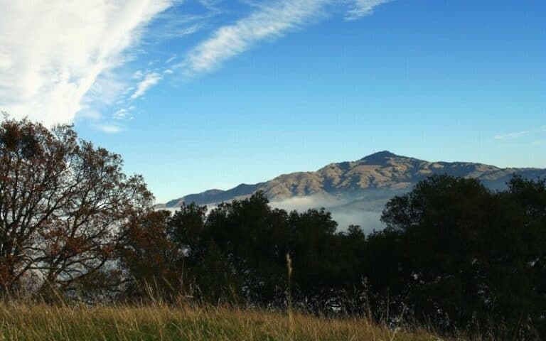 Best Hiking Trails in the Bay Area: 15 Stunning Hikes - My Open Country