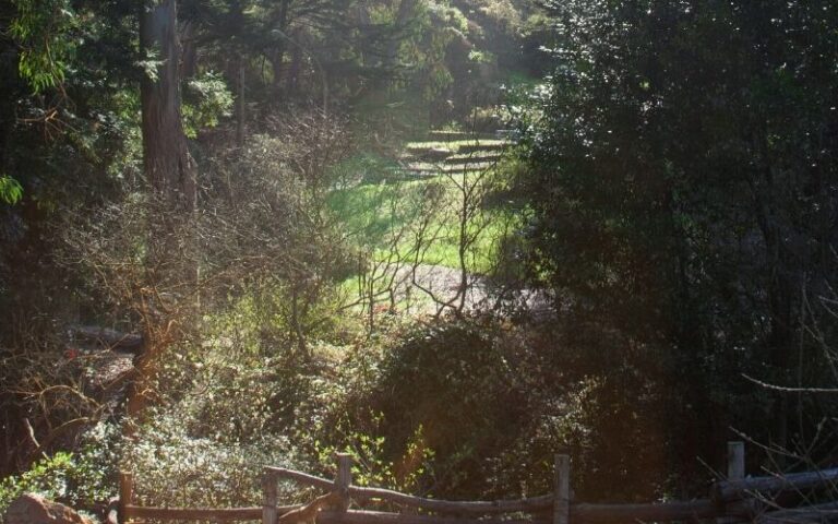 Best Hiking Trails in the Bay Area: 15 Stunning Hikes - My Open Country