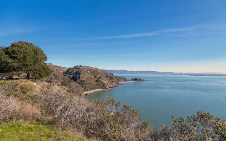 Best Hiking Trails in the Bay Area: 15 Stunning Hikes - My Open Country