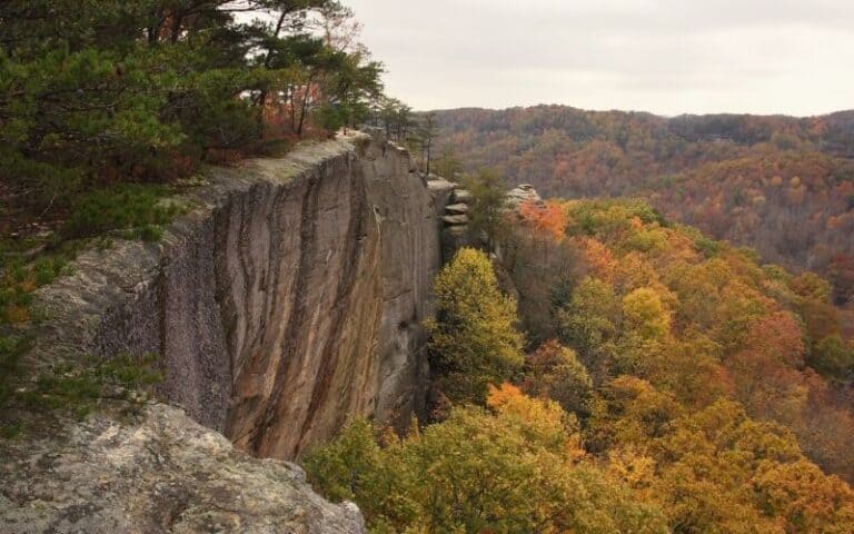 Red River Gorge Hiking: 9 Gorgeous Trails You Won’t Want to Miss - My ...