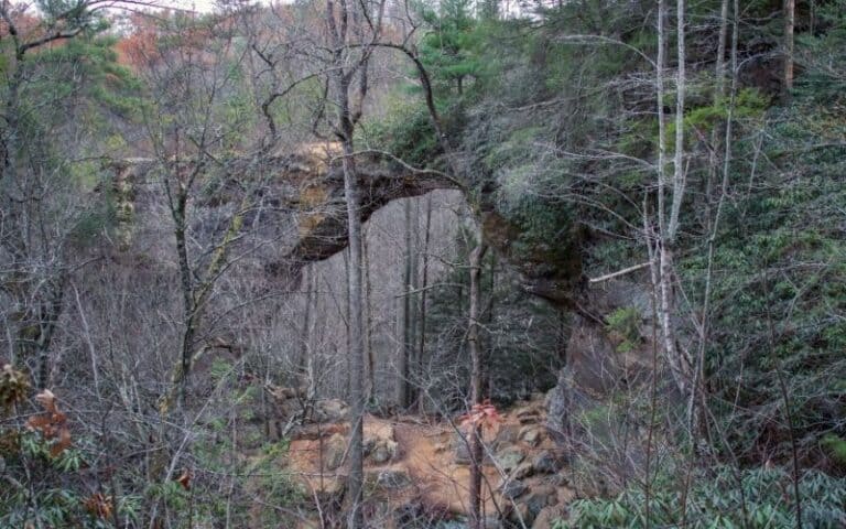Red River Gorge Hiking: 9 Gorgeous Trails You Won’t Want to Miss - My ...