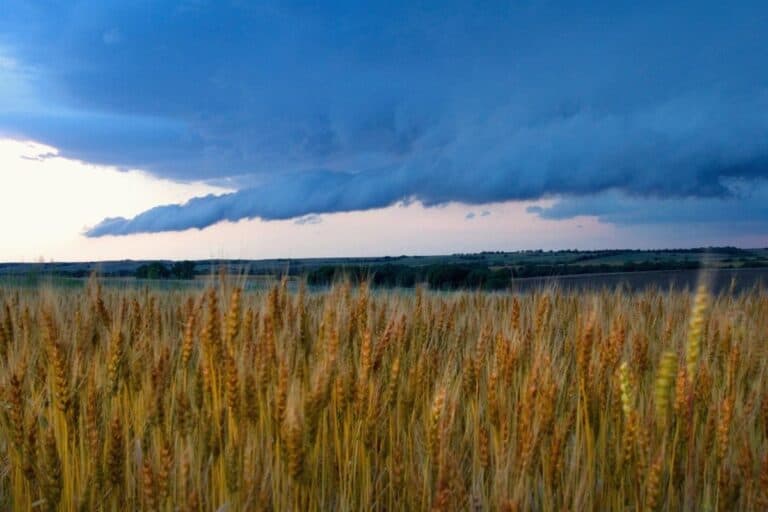 Best Camping in Kansas: 11 Unforgettable Spots - My Open Country