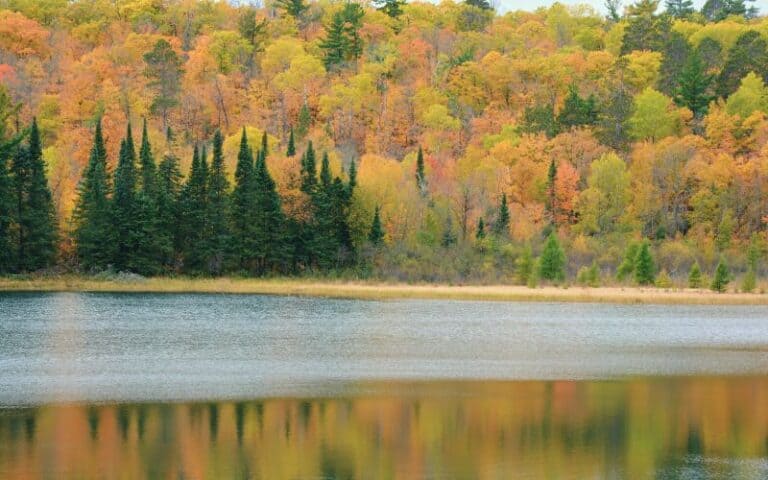 Best Campgrounds in Minnesota: 21 Magical Campsites - My Open Country