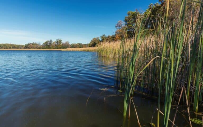Best Campgrounds in Minnesota: 21 Magical Campsites - My Open Country