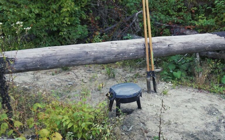 Best Portable Toilet for Camping: Field-Trialed & Tested [2025 Update]