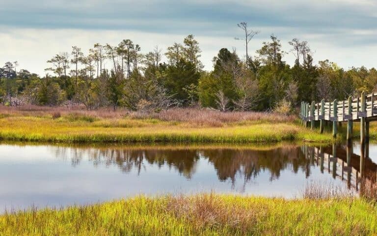 Best Campgrounds in North Carolina - My Open Country