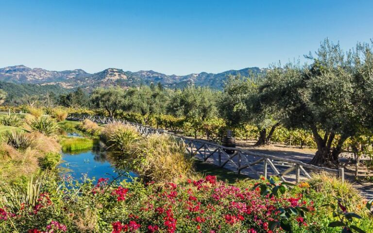Best Camping in California: Our 17 Favorite Spots - My Open Country