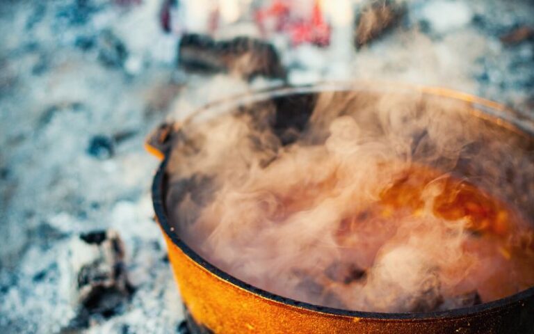 Cast-Iron Campfire Cooking: Delicious Recipes and Expert Tips - My Open ...