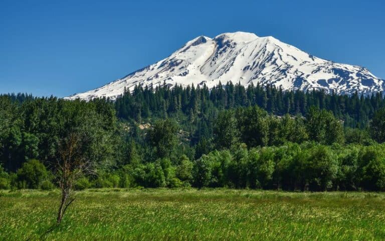 Best Dispersed Camping in Washington: 11 Must-See Locations - My Open ...