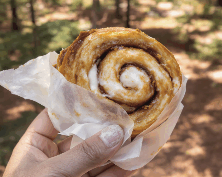 Campfire Pumpkin Cinnamon Rolls Recipe - My Open Country